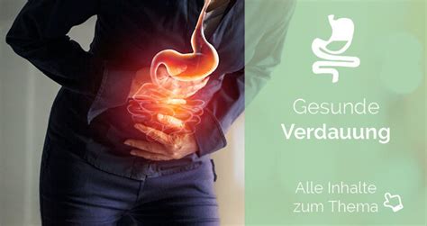 Lebensmittelvergiftung Ursachen Symptome Behandlung