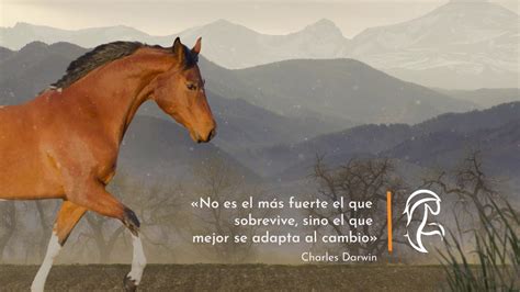 No es el más fuerte el que sobrevive sino el que mejor se adapta al