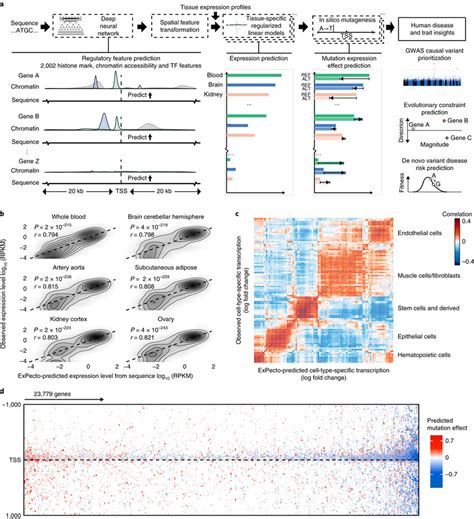 deep learning based sequence model accurately predicts download scientific diagram
