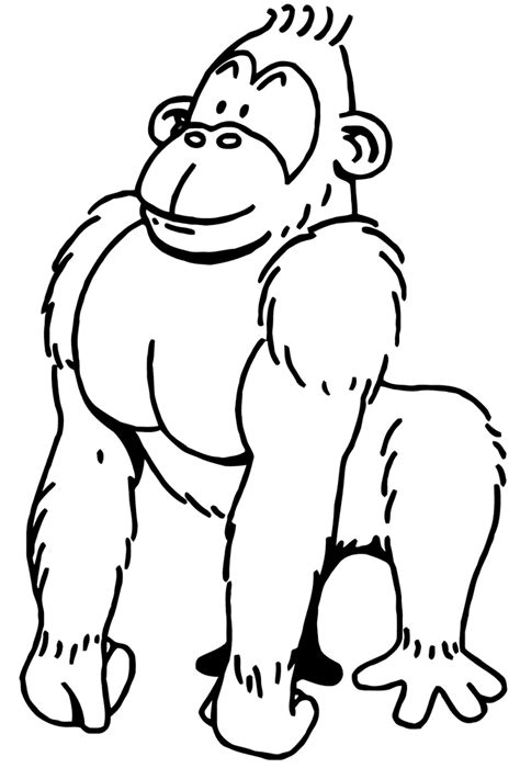 Gorilla Ausmalbilder DekoKing