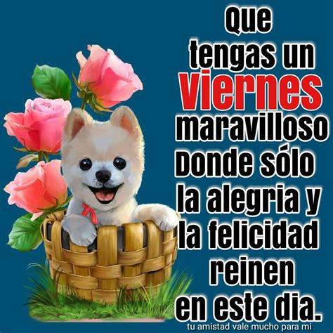 218 Viernes Imágenes Fotos y Gifs para Compartir Imágenes Cool