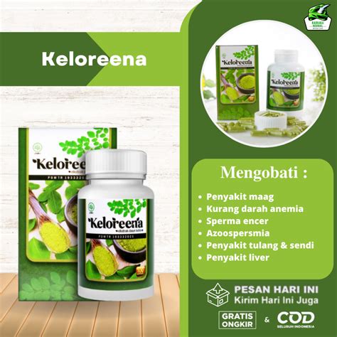 Jual Keloreena Kapsul 100 Ekstrak Daun Kelor Asli Ekstrak Moringa