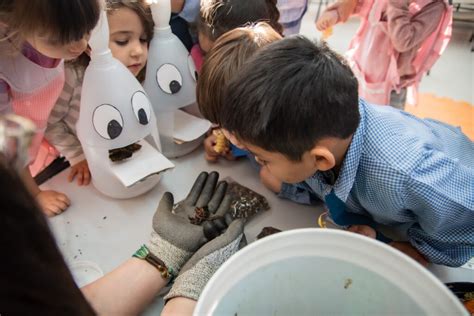 DÍA DEL MEDIO AMBIENTE ACTIVIDADES PARA SENSIBILIZAR SOBRE EL CUIDADO