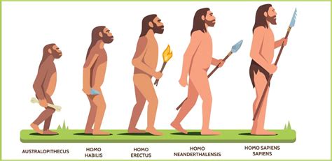Conceptual Image Showing Four Stages Of Human Evolution Off