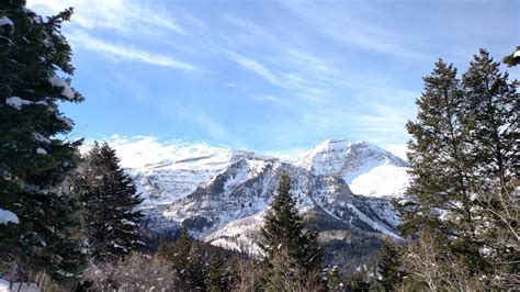 Free Images Snow Ice Winter Tree Mountains Hills Mountainous