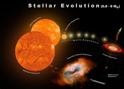 The Life Cycle Of A Star Understanding Stellar Evolution