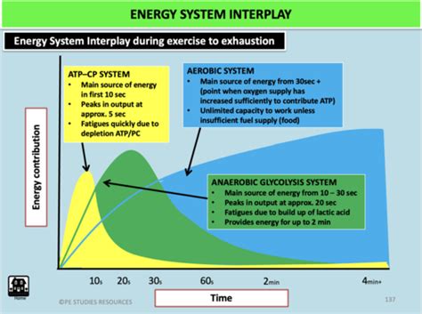 The Energy Systems Flashcards Quizlet