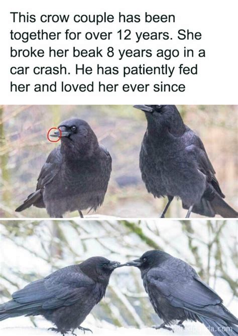 Science Humour 30 Memes Guaranteed To Distribute The Scientifically