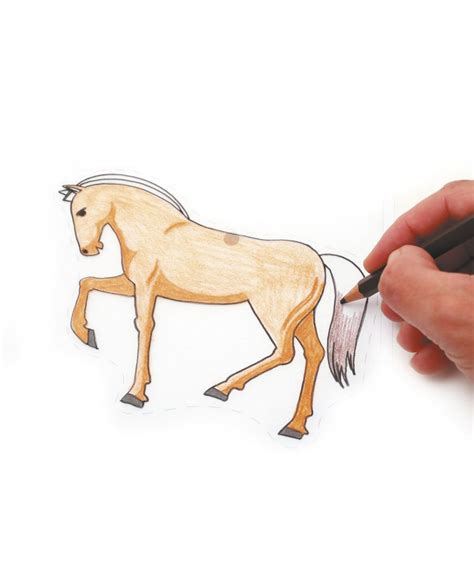 Kit plastique dingue 6 porte clés chevaux