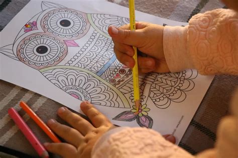 Agregar 86 Tecnicas Para Colorear Un Dibujo Mejor Camera Edu Vn