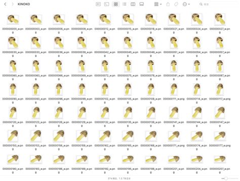 Amazon Bedrock Amazon Titan Multimodal Embeddings G1モデル を使用してきのこの山