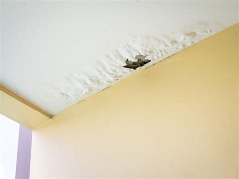 How To Fix A Leaking Roof From The Inside Hurricane Safety Program