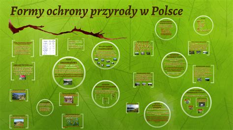 Formy Ochrony Przyrody W Polsce By Martyna Grygierzec On Prezi