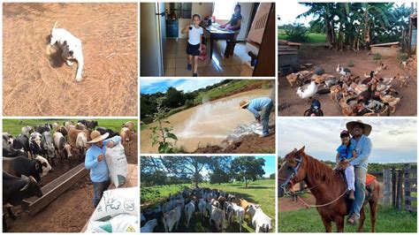 DIA A DIA DO MARIDÃO CUIDANDO DA FAZENDA JOGANDO CAL NA REPRESA