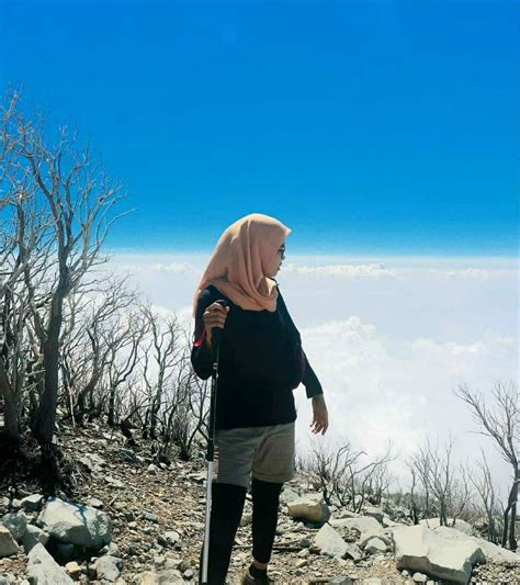 PendakiCantik Gunung Sindoro Yang Memiliki Ketinggian 3 153 Mdpl