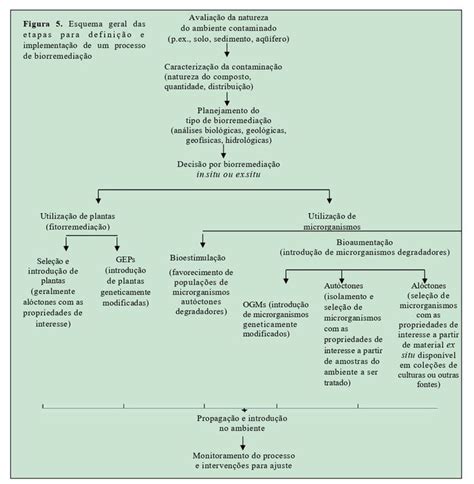 Biorremediação Uma Proposta Para a Recuperação de Áreas Degradadas
