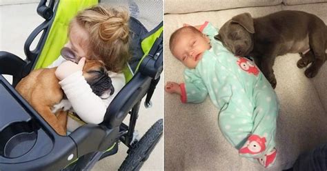 Photos Qui Prouvent Que Les Enfants Qui Grandissent Avec Un Chien