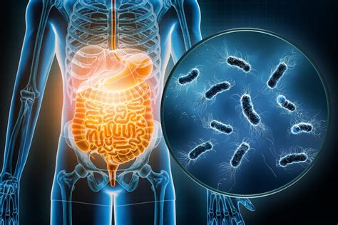 Gastroenteritis Causes Symptoms And Treatments Medanta