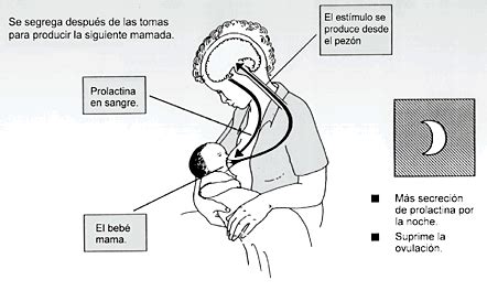 Lactancia Materna Hospital HM Nens 2022