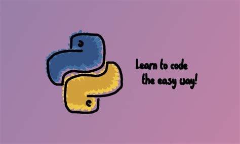 teach you programming in python by immijimmi fiverr