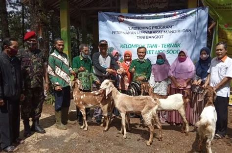 Pdna Pekalongan Kunjungi Kelompok Tani Ternak Suket Ijo Majalah Suara Aisyiyah
