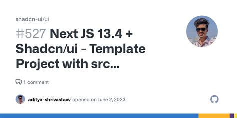Next JS 13 4 Shadcn Ui Template Project With Src Directory Issue