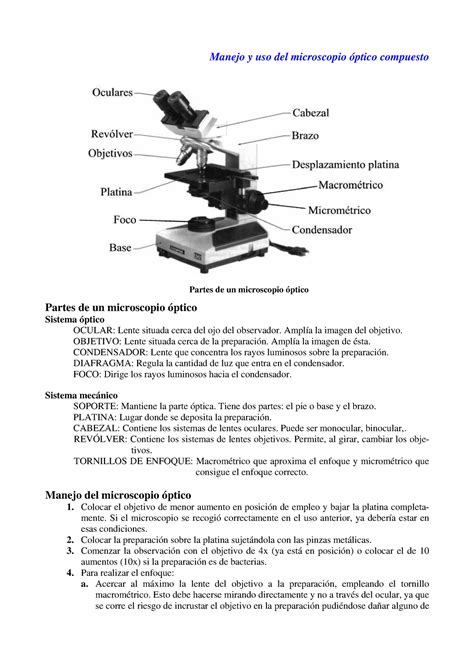 Uso microscopio optico Manejo y uso del microscopio óptico compuesto