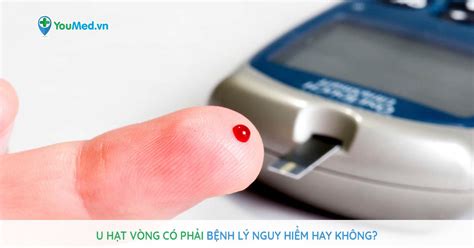 4 thực phẩm giúp bạn làm tăng kích cỡ vòng một YouMed