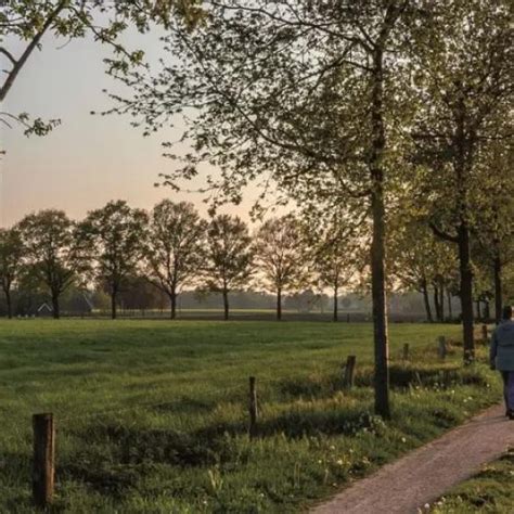 De 5 Mooiste Wandelroutes In Oldenzaal Om Twente Te Ontdekken Visit