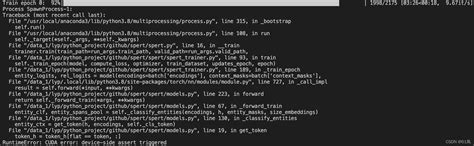 【python报错】cuda error device side assert triggered csdn博客