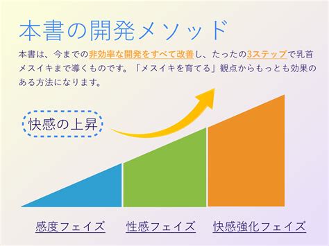 Wセット簡単に誰でもできるメスイキメソッドシリーズ ダブルパック 0からはじめる乳首メスイキ開発完全攻略バージョン メスイキラボ