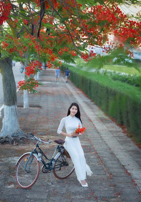 Ảnh hoa phượng đẹp