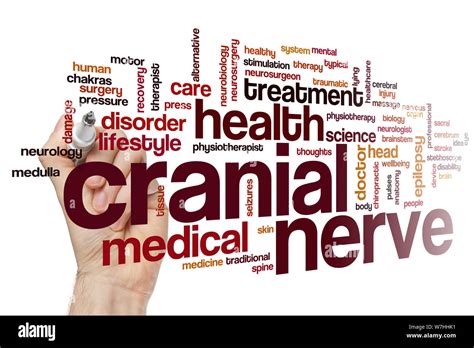 Cranial Nerve Word Cloud Concept Stock Photo Alamy