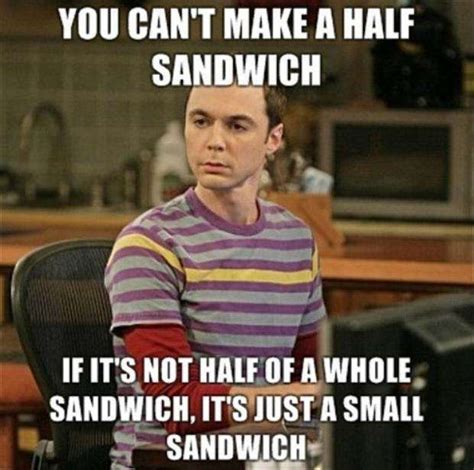 Sheldon Cooper Memes Fandom