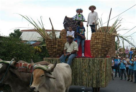 La caña de azúcar da vida al festival más antiguo del país Día a Día