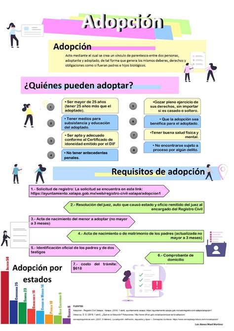 Entendiendo la Importancia y Proceso de la Constancia de Adopción en