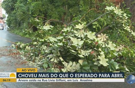 Vídeos do g1 e TV Bahia terça feira 9 de abril de 2024 G1 Rádio
