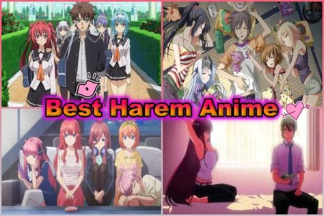 55 Harem Anime Ranked Personal Favorites 2024 Updated OtakusNotes