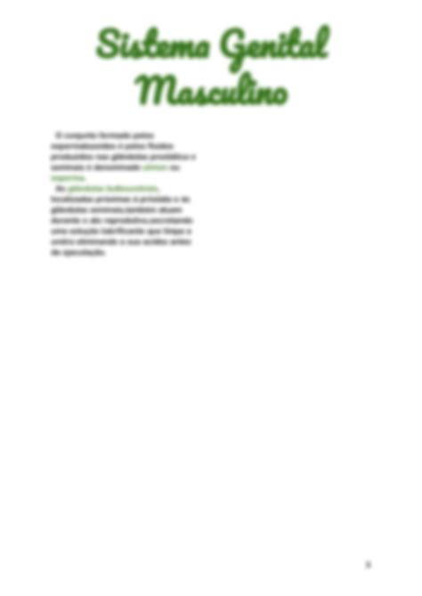 SOLUTION Resumo Sistema Genital Masculino Sistema Reprodutor Masculino