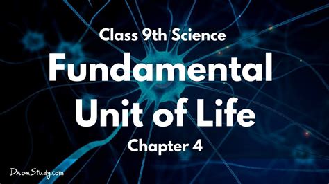 Fundamental Unit Of Life Cbse Class Ix Science Toppr Study Youtube