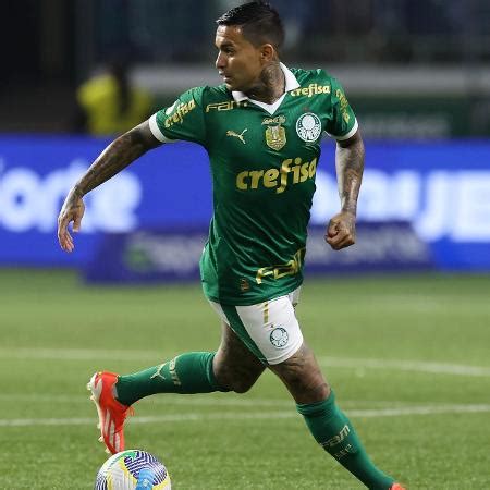 Dudu se declara ao Palmeiras ao comemorar marca histórica pelo clube