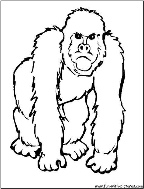 Gorilla Coloring Page