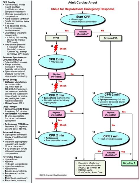acls guidelines 2015 update adult cardiac arrest