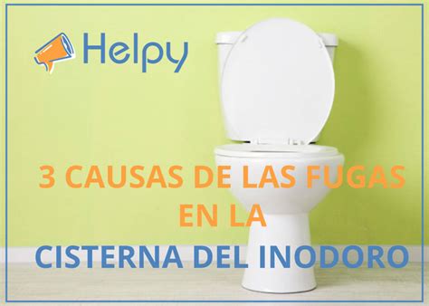 C Mo Arreglar Una Cisterna Wc Aprende Paso A Paso A Solucionar Los