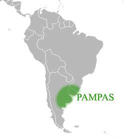 Bioma Pampas Ou Campos Planeta Biologia