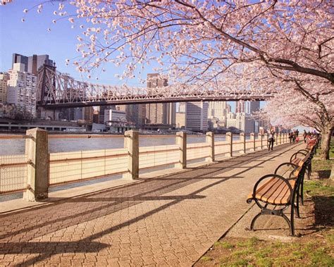 Any Time Is The Best Time To Visit New York Without A Doubt KAYAK