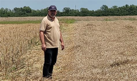 Agra Asigurări estimează pagube în valoare de 15 milioane de lei în