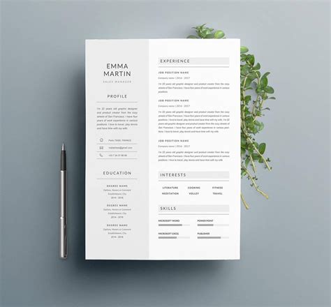 Cv Template Minimalist