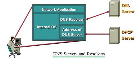 DNS Vs DHCP Difference Between DNS And DHCP Servers