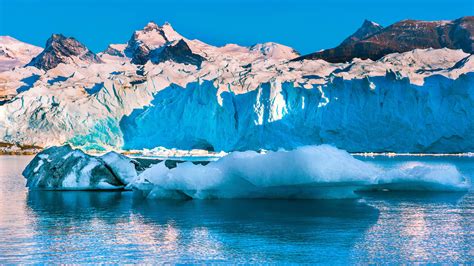 20 Actividades Imprescindibles Que Hacer En El Calafate Go Patagonic